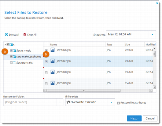 Managing CTERA Agents